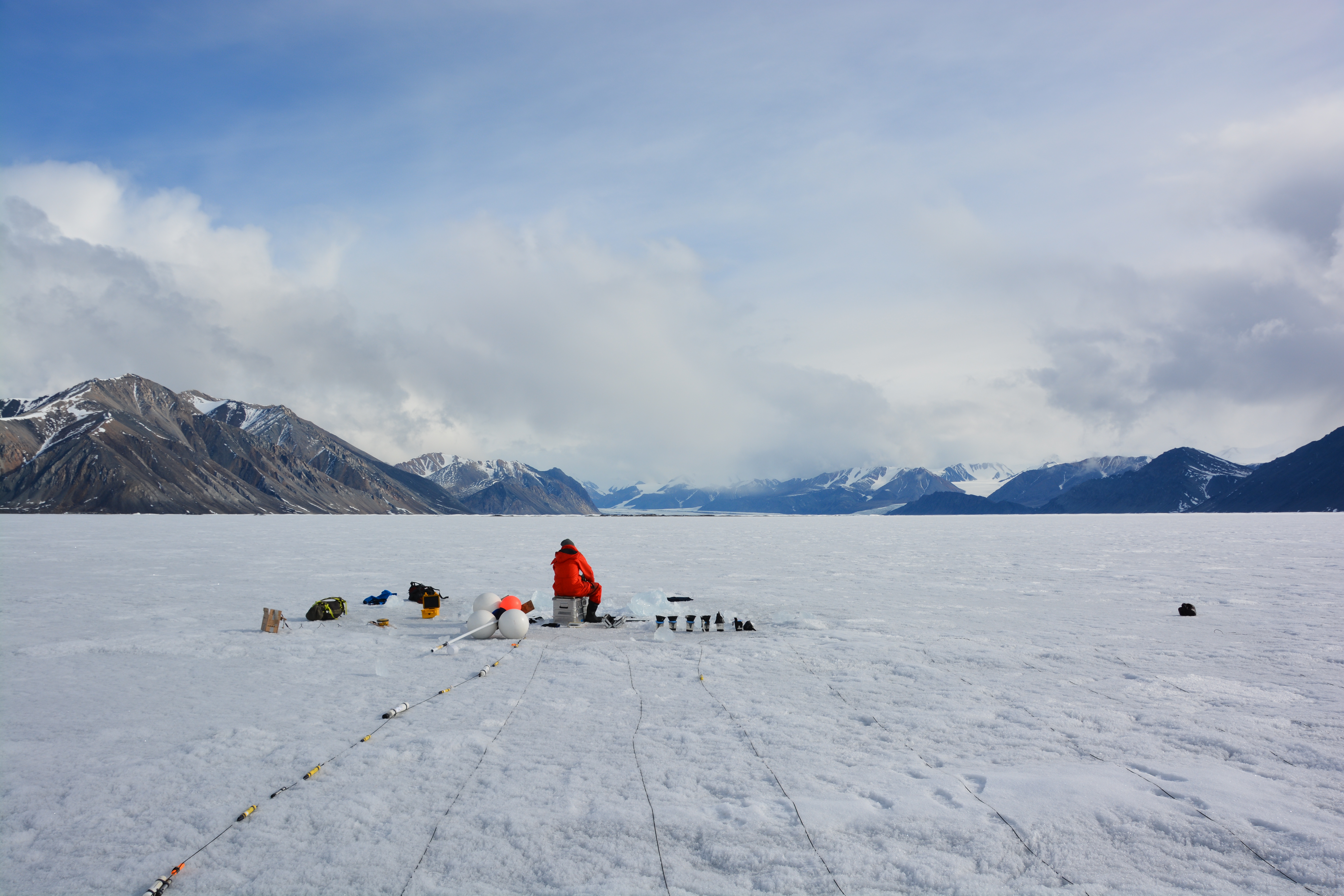 Fieldwork - Jérémie Bonneau